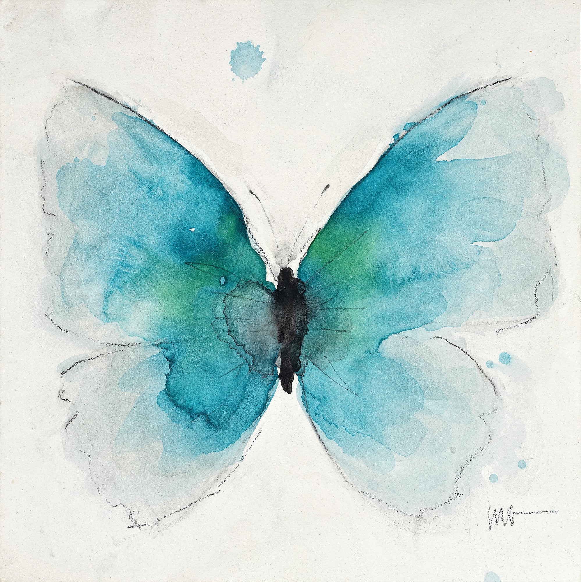 how to draw butterfly watercolor